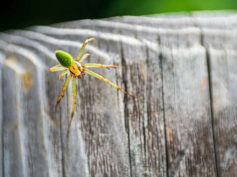รูปภาพGaebul – เลือกดูภาพถ่ายสต็อก เวกเตอร์ และวิดีโอ748 | Adobe Stock