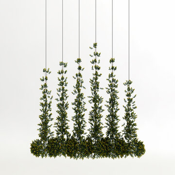 รูปภาพCreeper – เลือกดูภาพถ่ายสต็อก เวกเตอร์ และวิดีโอ104,842 | Adobe Stock