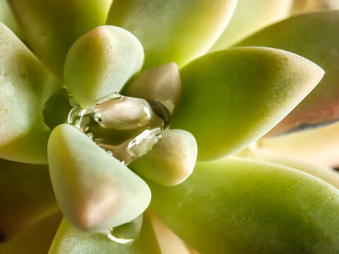 「Cleave」の画像 - 661,770 件の Stock 写真、ベクターおよびビデオ | Adobe Stock