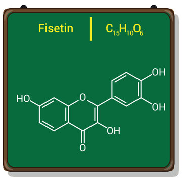 Fustet bilder – Bläddra bland 170 stockfoton, vektorer och videor ...