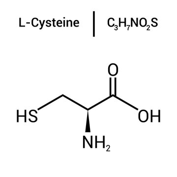รูปภาพCys – เลือกดูภาพถ่ายสต็อก เวกเตอร์ และวิดีโอ1,055 | Adobe Stock