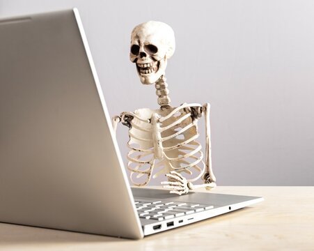 Skeleton At Computer Images – Browse 15,893 Stock Photos, Vectors, and ...