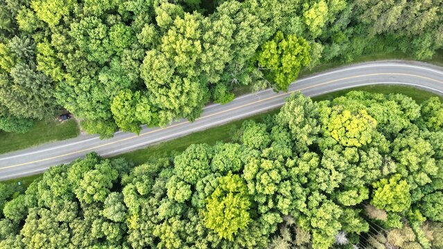 "Tree Top View" Bilder – Durchsuchen 721 Archivfotos, Vektorgrafiken ...