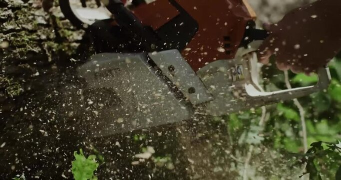 Refrain Images – Browse 9,307 Stock Photos, Vectors, and Video | Adobe ...