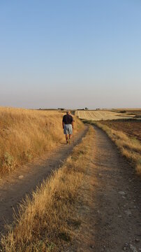 「Paseante」の写真素材 | 95件の無料イラスト画像 | Adobe Stock