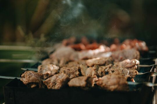 Botcha Bilder – Durchsuchen 2,223 Archivfotos, Vektorgrafiken und ...