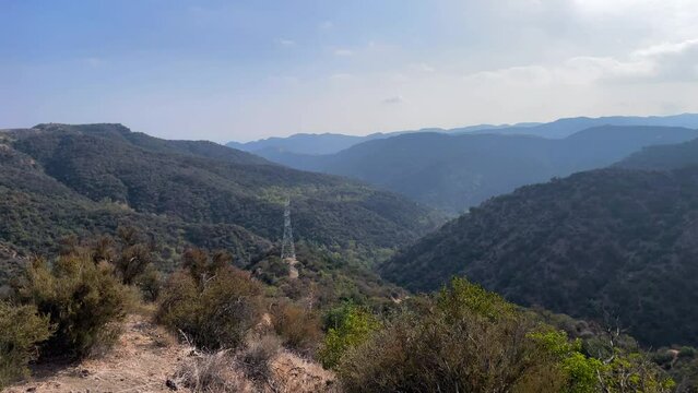 Chaparral Images – Browse 9,062 Stock Photos, Vectors, and Video ...