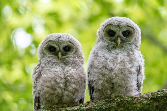 Varia Images – Browse 7,010 Stock Photos, Vectors, and Video | Adobe Stock