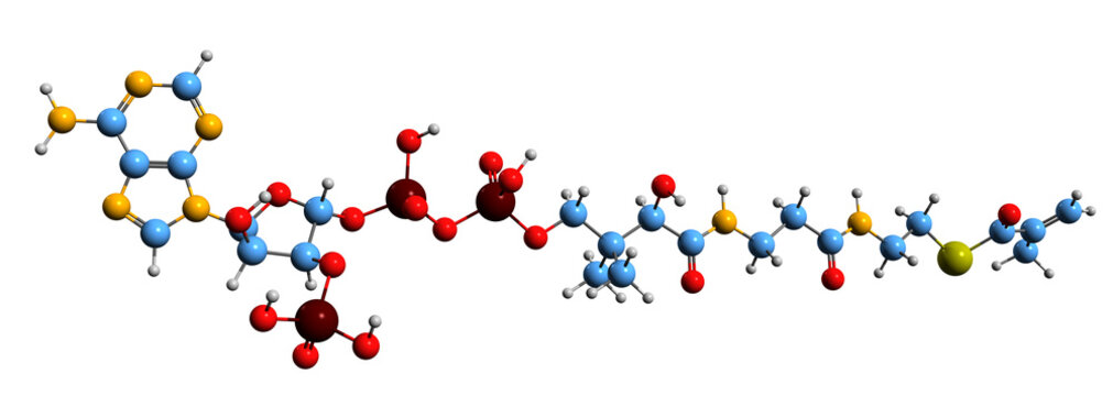 รูปภาพValine – เลือกดูภาพถ่ายสต็อก เวกเตอร์ และวิดีโอ1,936 | Adobe Stock