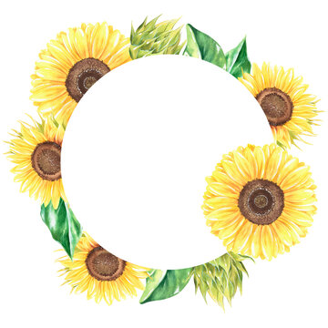 Sunflower Circle Border Images – Browse 1,185 Stock Photos, Vectors ...