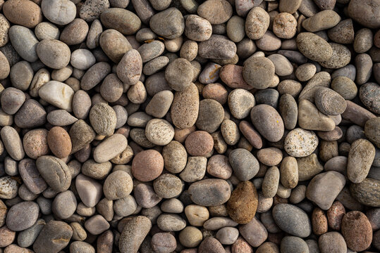Imágenes de Pebbles: descubre bancos de fotos, ilustraciones, vectores ...