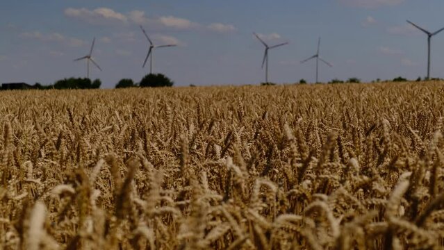 Overcropping bilder – Bläddra bland 33 stockfoton, vektorer och videor ...
