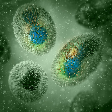 "Cuban Itch" Bilder – Durchsuchen 104 Archivfotos, Vektorgrafiken und ...