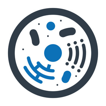 รูปภาพNucleolus – เลือกดูภาพถ่ายสต็อก เวกเตอร์ และวิดีโอ1,567 | Adobe Stock