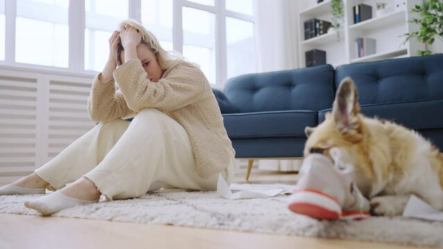 Untrained Images – Browse 535 Stock Photos, Vectors, and Video | Adobe ...