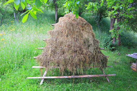 Afbeeldingen over "Drying Hay" – Blader in stockfoto's, vectoren en ...