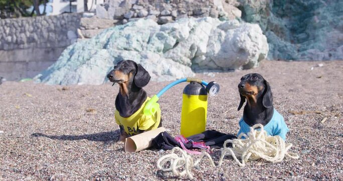 Dilettante Images – Browse 458 Stock Photos, Vectors, and Video | Adobe ...