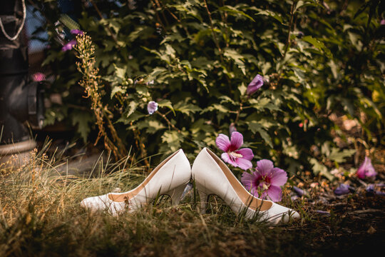 Obcas bilder – Bläddra bland 605 stockfoton, vektorer och videor ...