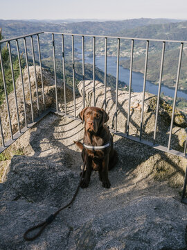 Viewpoint Images – Browse 939,704 Stock Photos, Vectors, and Video ...