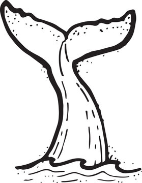 Whale Tail Outline Images – Browse 3,787 Stock Photos, Vectors, and ...