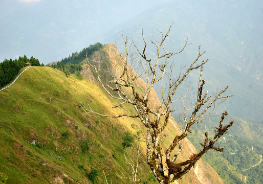 Kalimpong Images – Browse 267 Stock Photos, Vectors, and Video | Adobe ...