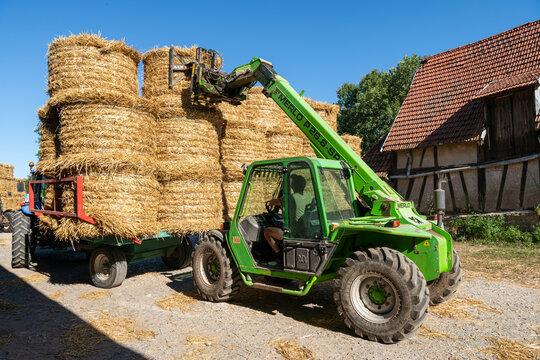 รูปภาพMerlo – เลือกดูภาพถ่ายสต็อก เวกเตอร์ และวิดีโอ2,161 | Adobe Stock