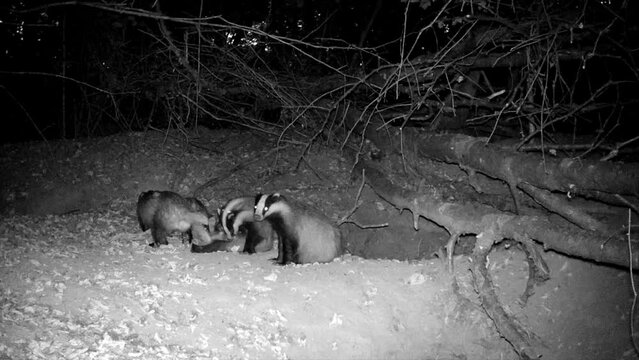 รูปภาพJucken – เลือกดูภาพถ่ายสต็อก เวกเตอร์ และวิดีโอ1,211 | Adobe Stock