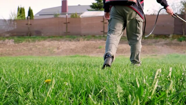 Lawn Spray Images – Browse 33,635 Stock Photos, Vectors, and Video ...