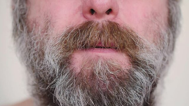 Unkempt Images – Browse 8,210 Stock Photos, Vectors, and Video | Adobe ...