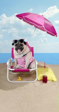 "Happy Summer" Immagini - Sfoglia 1,648 foto, vettoriali e video Stock ...