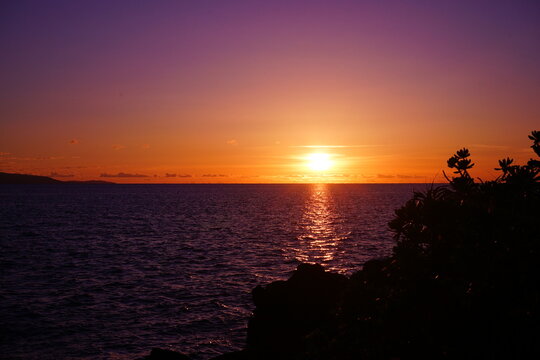 「Mongolism」の画像 - 40,784 件の Stock 写真、ベクターおよびビデオ | Adobe Stock