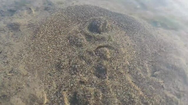 Undercurrent Images – Browse 425 Stock Photos, Vectors, and Video ...