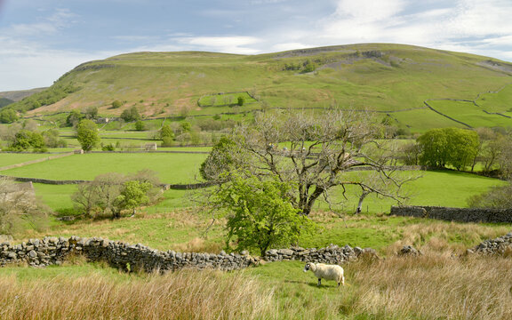Reeth Bilder – Durchsuchen 365 Archivfotos, Vektorgrafiken und Videos ...