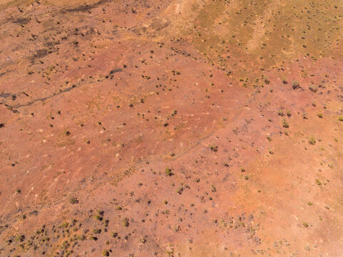 Imágenes de Infecundo: descubre bancos de fotos, ilustraciones ...