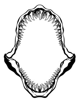 Shark Teeth Outline