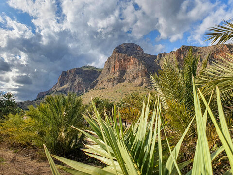 「Datil」の画像 - 1,092 件の Stock 写真、ベクターおよびビデオ | Adobe Stock