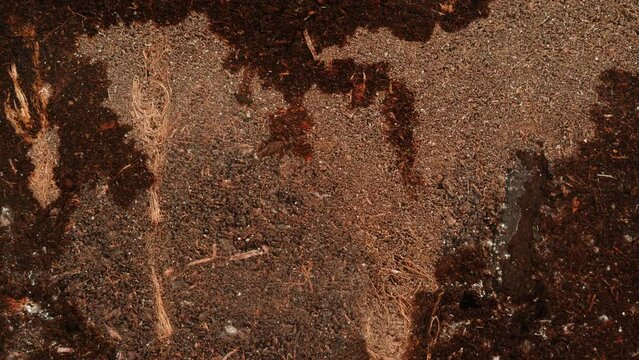 Wet Soil Texture Images – Browse 59,025 Stock Photos, Vectors, and ...