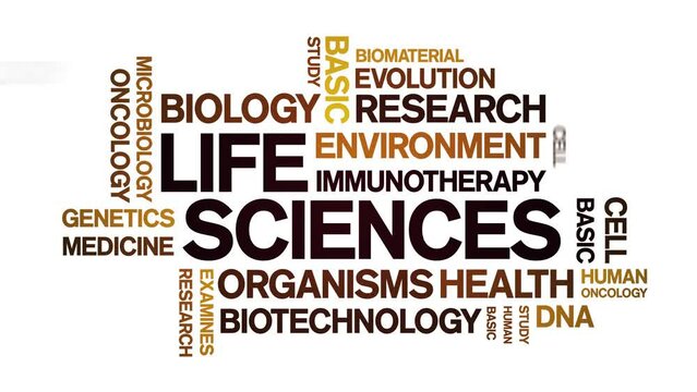 Imágenes de "Life Science": descubre bancos de fotos, ilustraciones ...