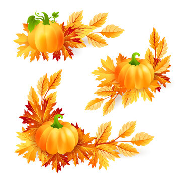 Thanksgiving Divider Images – Browse 474 Stock Photos, Vectors, and ...