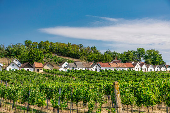 รูปภาพ"Lower Austria" – เลือกดูภาพถ่ายสต็อก เวกเตอร์ และวิดีโอ9,331 ...