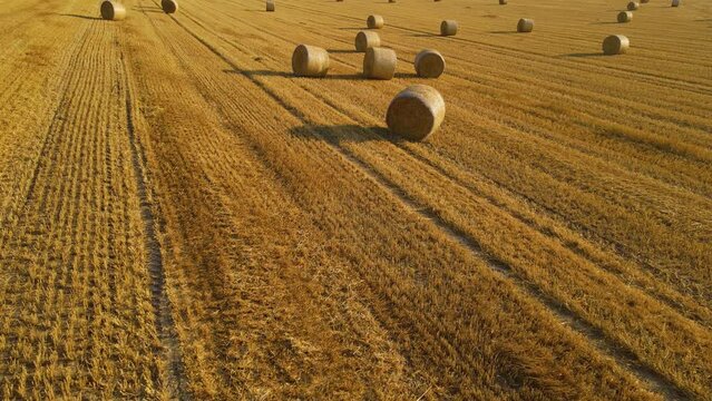 Baled Images – Browse 255,375 Stock Photos, Vectors, and Video | Adobe ...