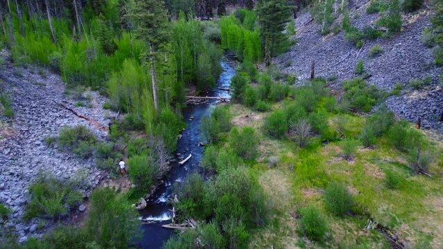 Greer Images – Browse 567 Stock Photos, Vectors, and Video | Adobe Stock