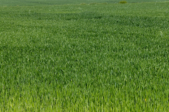 "Rural Economy" Images – Browse 10,691 Stock Photos, Vectors, and Video ...