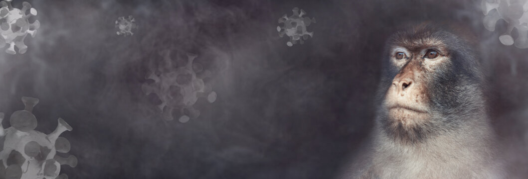 รูปภาพPoxvirus – เลือกดูภาพถ่ายสต็อก เวกเตอร์ และวิดีโอ4,150 | Adobe Stock
