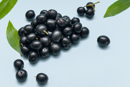 รูปภาพTambis – เลือกดูภาพถ่ายสต็อก เวกเตอร์ และวิดีโอ5,411 | Adobe Stock