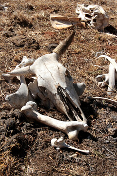 รูปภาพZnco3 – เลือกดูภาพถ่ายสต็อก เวกเตอร์ และวิดีโอ381 | Adobe Stock