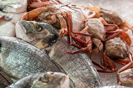 "Dorade Box"-Bilder: Stock-Fotos & -Videos. | Adobe Stock