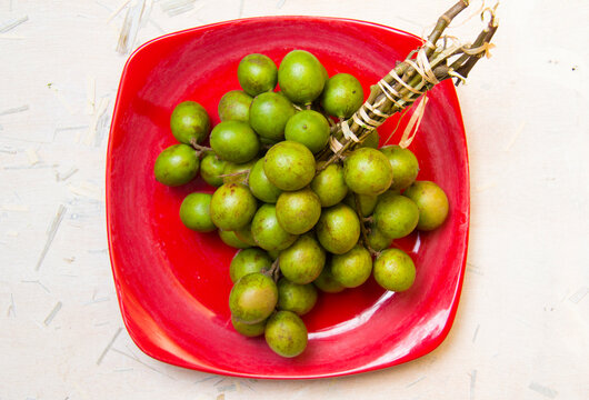 「Genip」の画像 - 475 件の Stock 写真、ベクターおよびビデオ | Adobe Stock