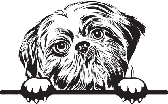 Shih Tzu Face Stencil