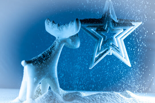 Imágenes de Merry Christmas Reno: descubre bancos de fotos ...